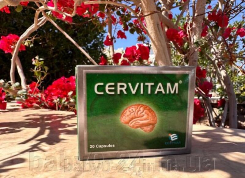 Cervitam цервітам 20 капсул Єгипет (1603609471) купити з доставкою за ...