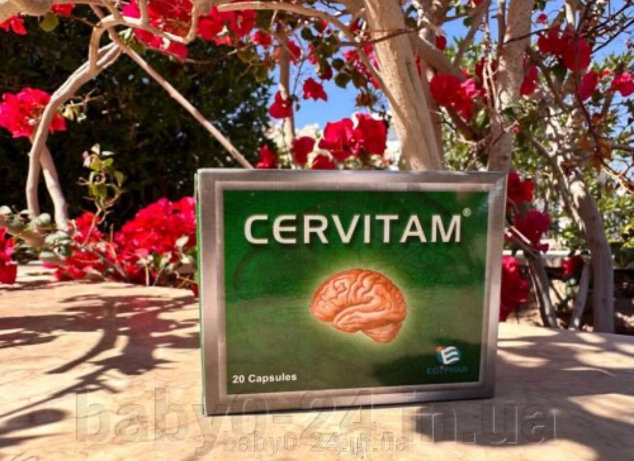 Cervitam цервітам 20 капсул Єгипет (1603609471) купити з доставкою за ...